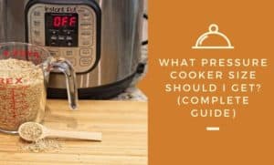 What Pressure Cooker Size Should I Get? (Complete Guide) – Kitchensnitches