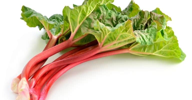 19 Tasty Vegetable Stems You Can Eat (With Pictures) – Kitchensnitches