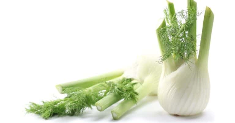 19 Tasty Vegetable Stems You Can Eat (With Pictures) – Kitchensnitches
