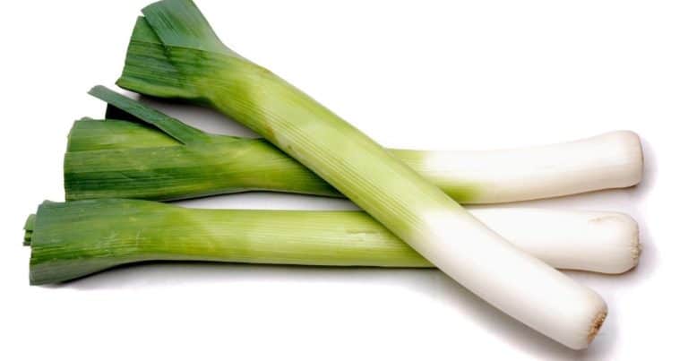 19 Tasty Vegetable Stems You Can Eat (With Pictures) – Kitchensnitches