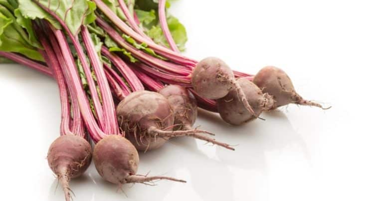 19 Tasty Vegetable Stems You Can Eat (With Pictures) – Kitchensnitches